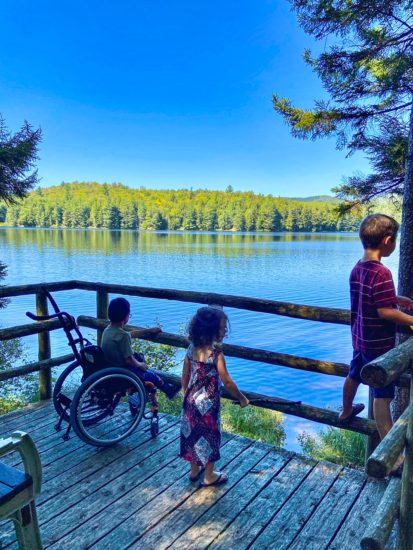Into the Accessible Wild - Wonders Within Reach