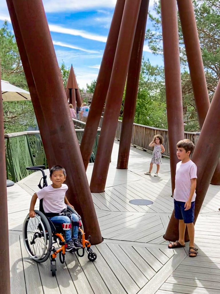 Into the Accessible Wild - Wonders Within Reach