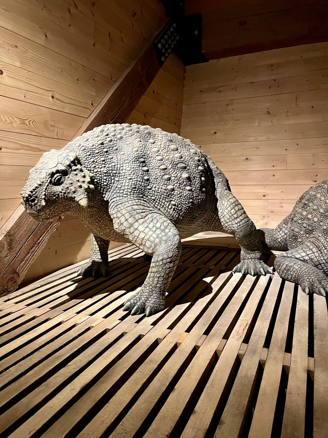 Exploring the Ark Encounter: A Wheelchair-Accessible Adventure ...