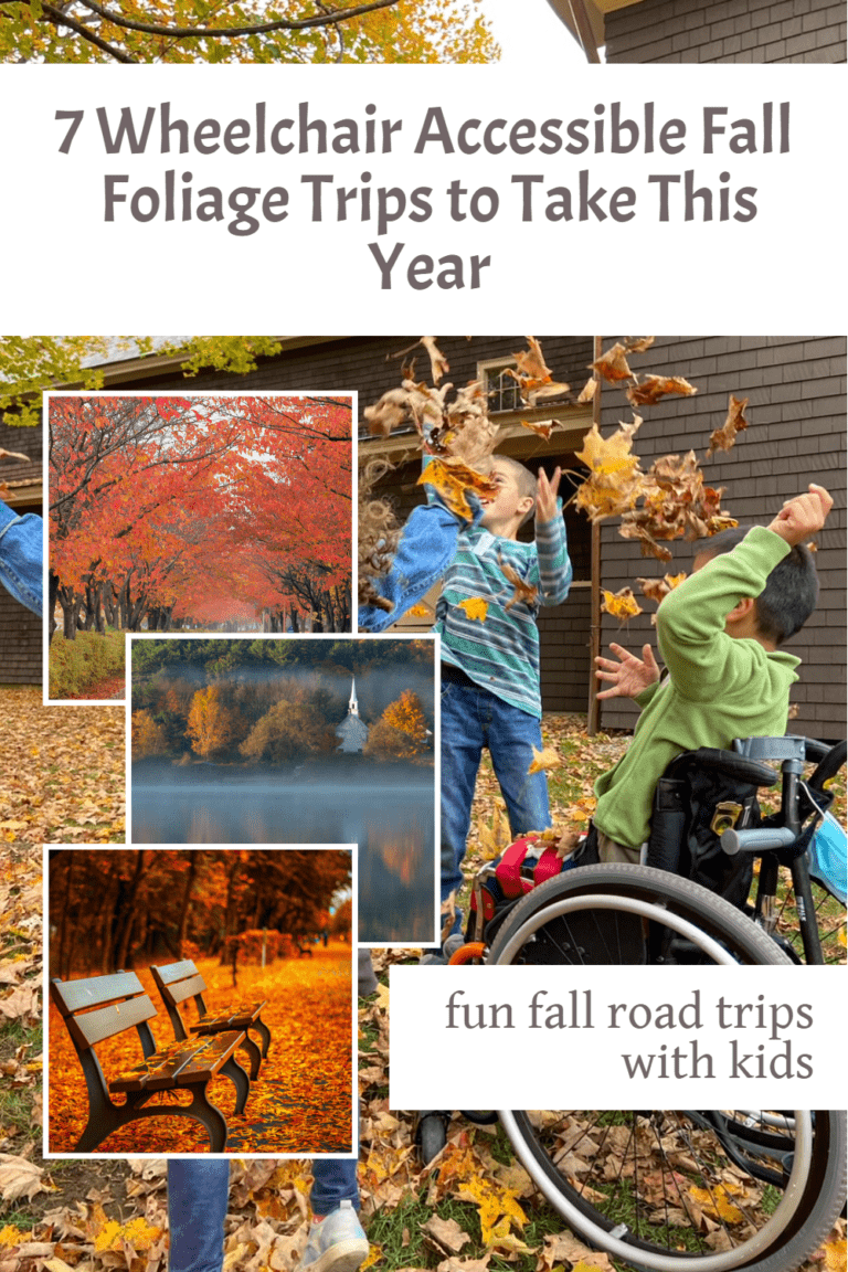 7 Wheelchair Accessible Fall Foliage Trips to Take This Year - Wonders ...