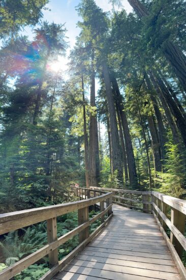 Wheelchair Accessible Vancouver Island - Wonders Within Reach