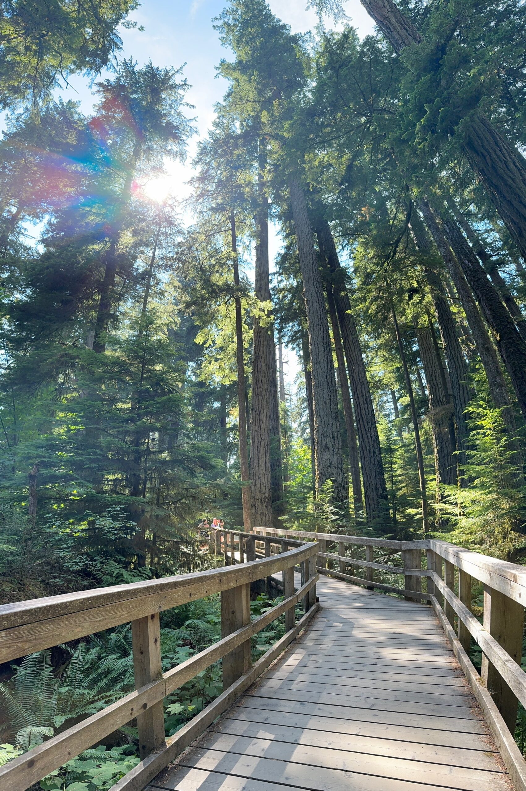Wheelchair Accessible Vancouver Island - Wonders Within Reach