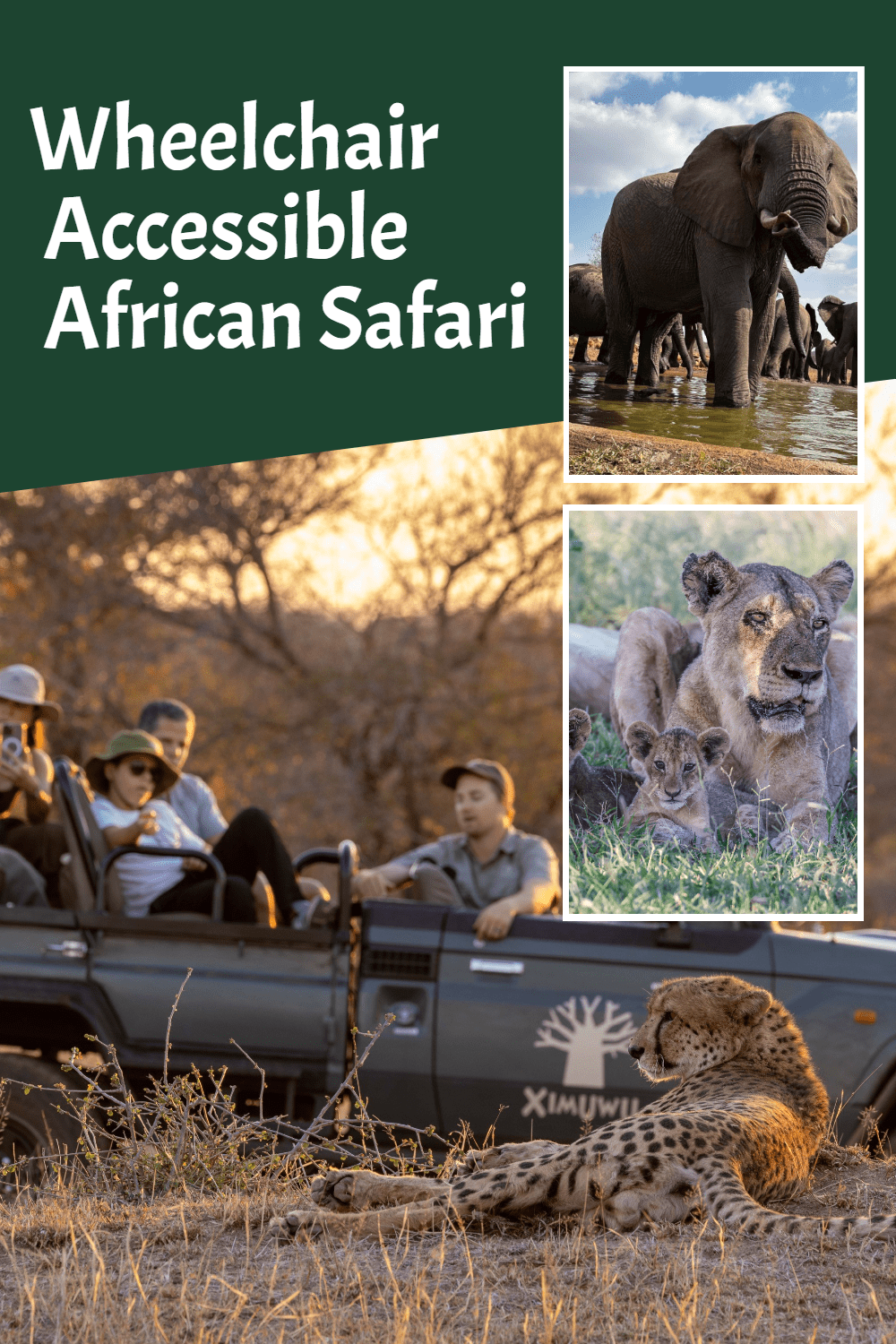 Wheelchair Accessible African Safari - Wonders Within Reach